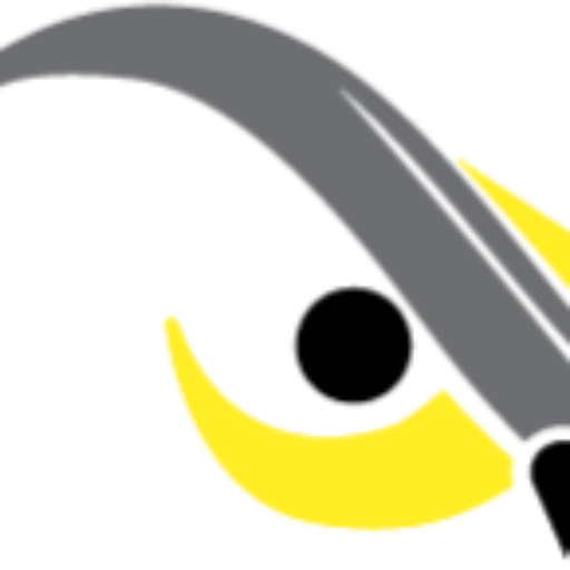 IT Solutions, Management & Consulting - INFINIGENCE